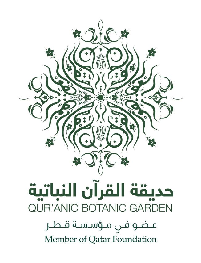 VCUQatar Students Win QBG Photography Competition | Qatar Foundation